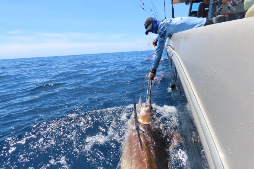Rates & packages - Paradise Fishing Lodge & Marina