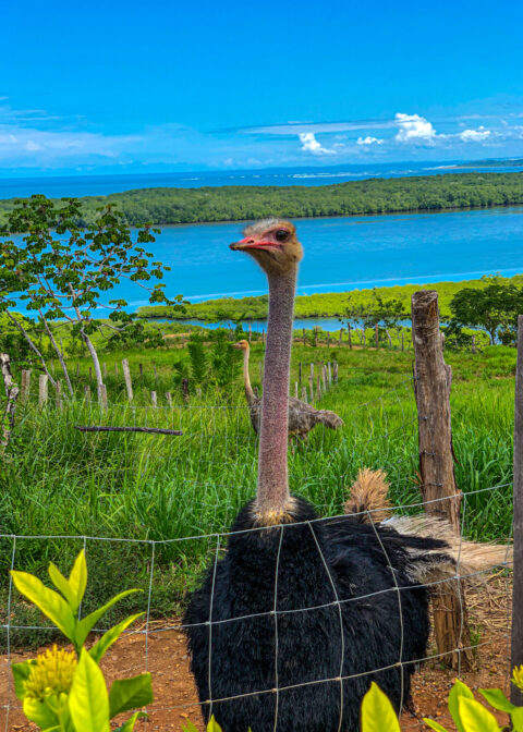 The Lodge - Paradise Fishing Lodge & Marina